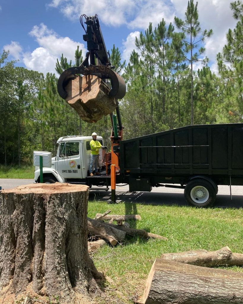 Tree Services – A&M Tree Trimming LLC